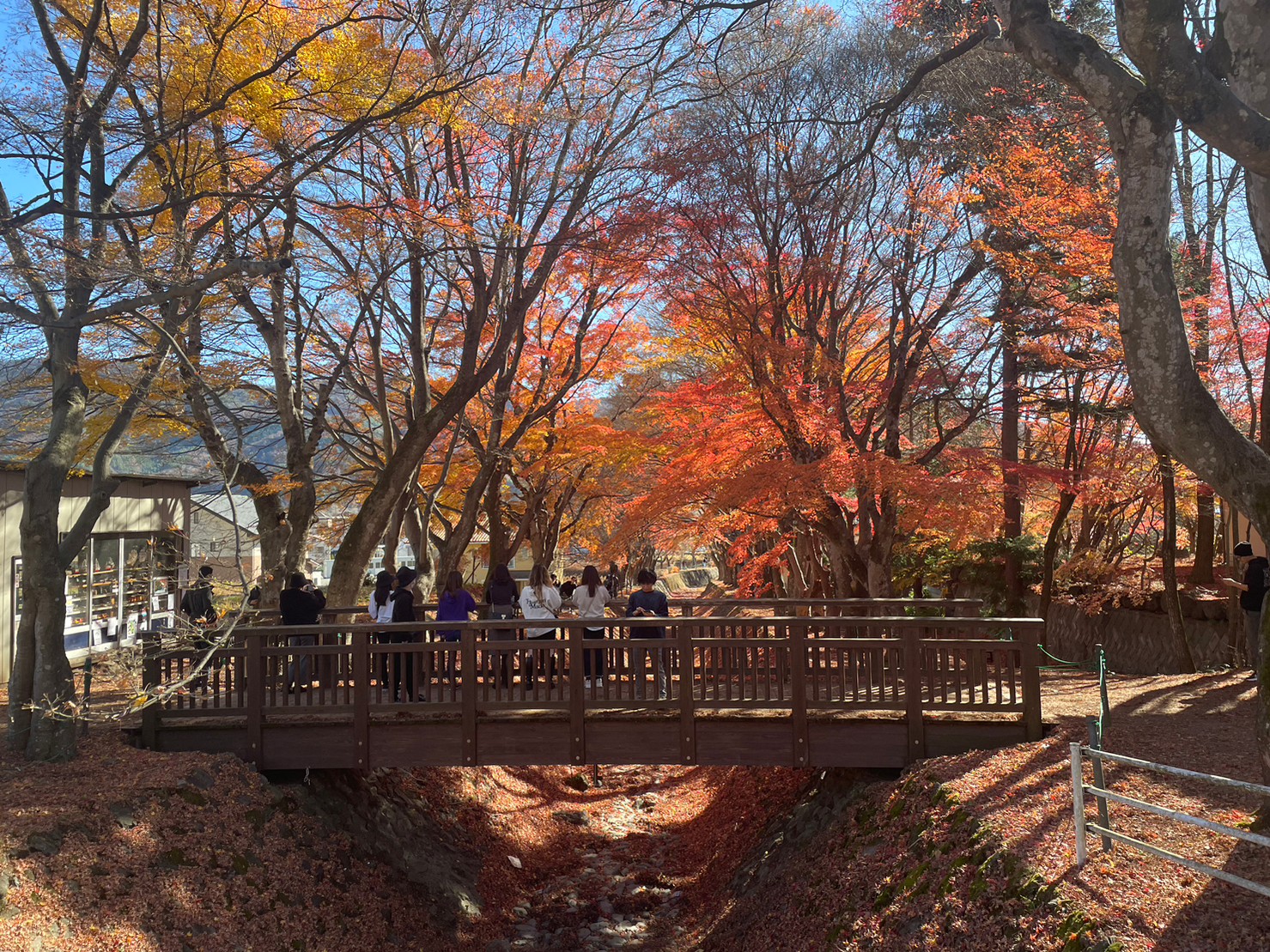 superdefのブログ｜富士山マラソン2022を写真で振り返る | 株式会社superdef